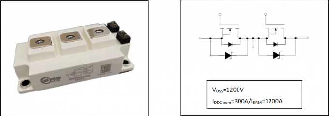 1200V 300A SiC MOSFET Half Bridge Module Semiconductor DS-SPS300MB12G6S ...